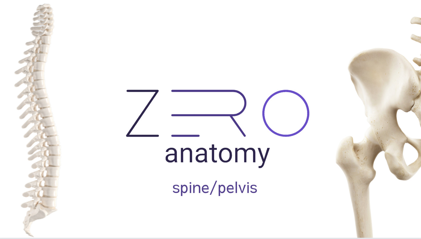 ゼロからわかる解剖学セミナー zero anatomy！〜骨盤・脊柱編〜 | N.Pilates Education〜解剖学からわかる！効果の ...