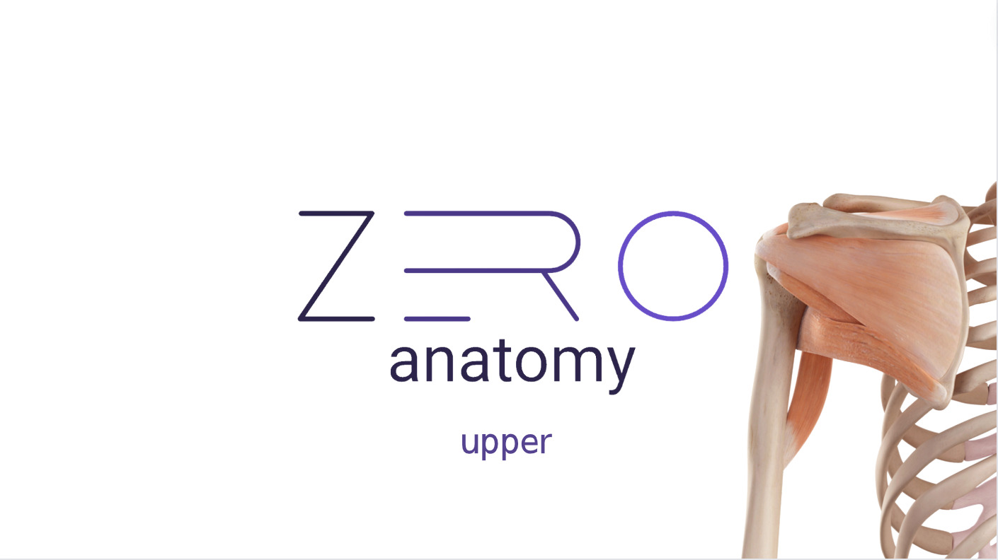 ゼロからわかる解剖学セミナー zero anatomy！〜上肢編〜 | N.Pilates Education〜解剖学からわかる！効果の出る ...
